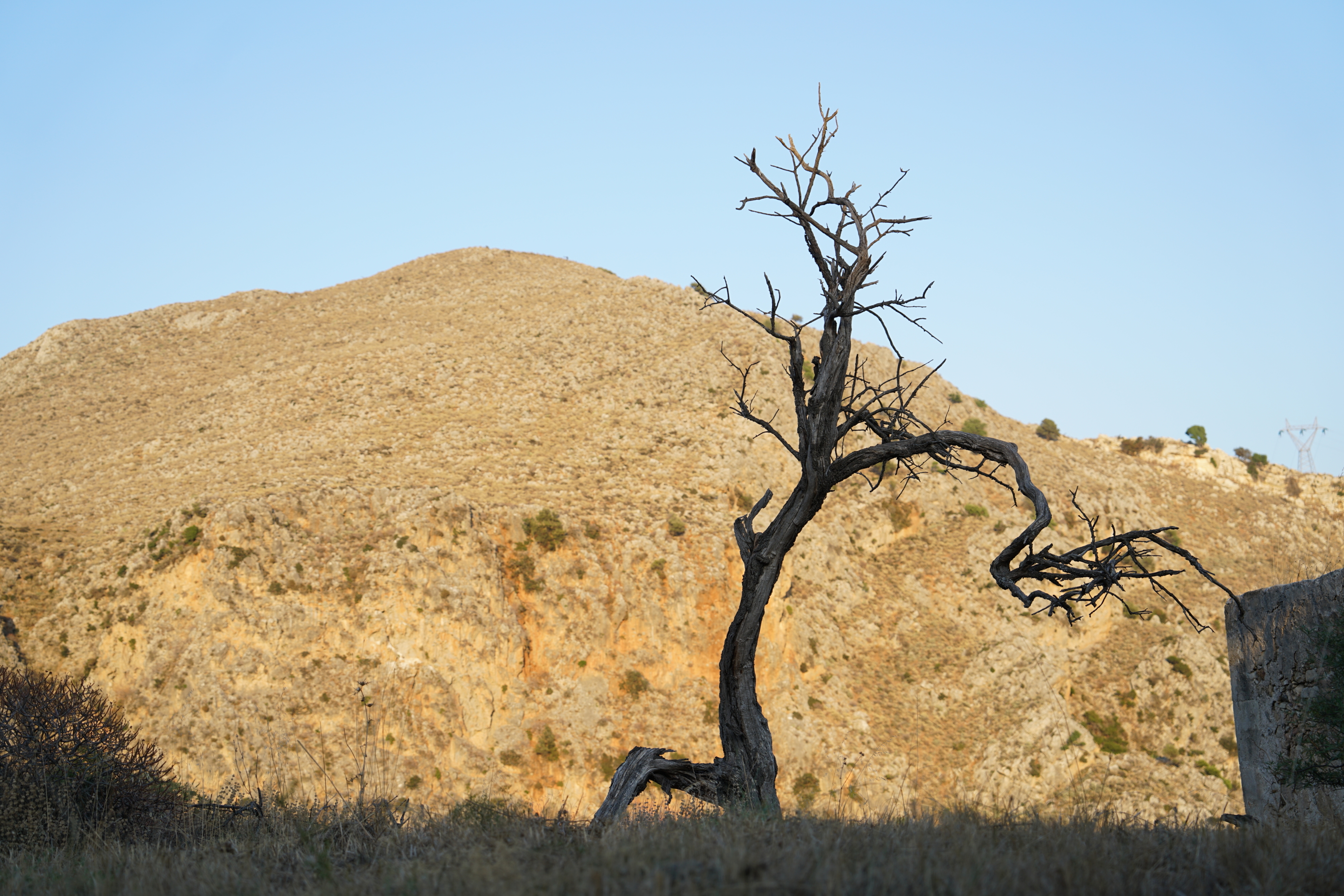 The TOOLKITS SERIES Festivals and Disaster Recovery - European Festivals Association